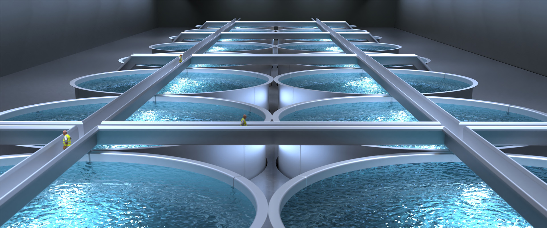 Fish farming tanks — HighComp - a CSUB Company