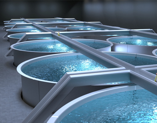 HighComp - Fish Farming equipment for aquaculture